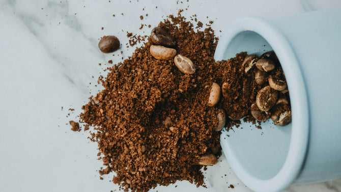 The Complex Flavors of Specialty Robusta Coffee – Paradise Coffee Roasters