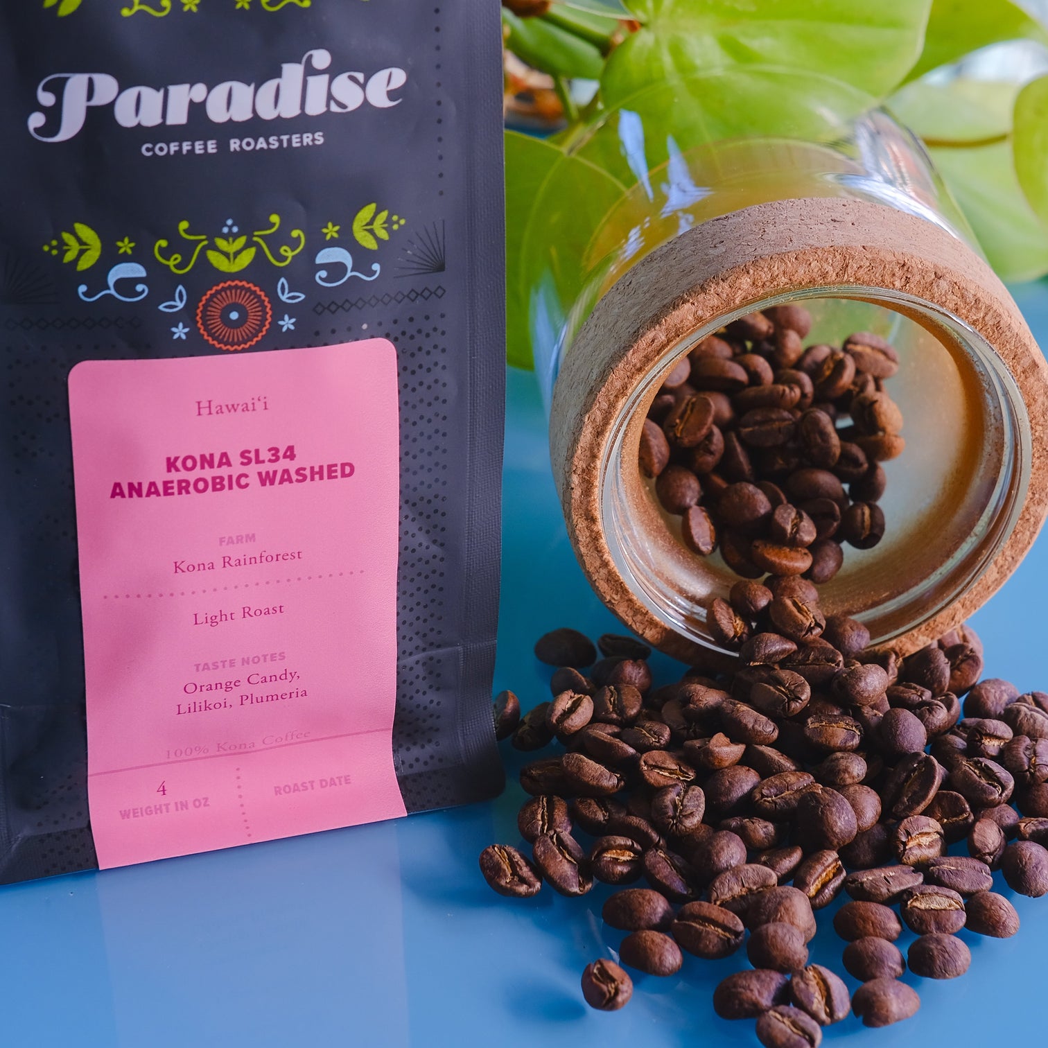 Single Origin Coffees – Paradise Coffee Roasters