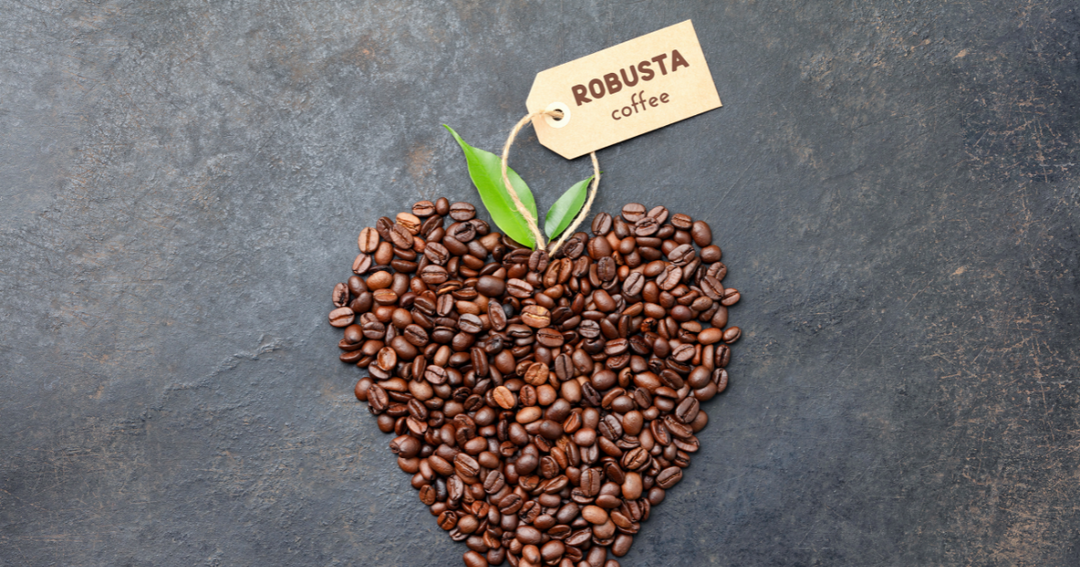 Robusta Coffee: An Immersive Guide - Paradise Roasters – Paradise ...