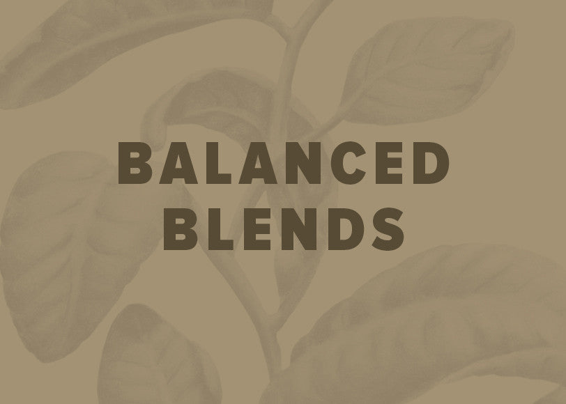 Balanced Coffee Blends - Paradise Coffee Subsciption – Paradise Coffee ...